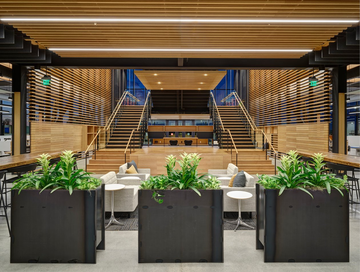 The Six Principles of Biophilic Design