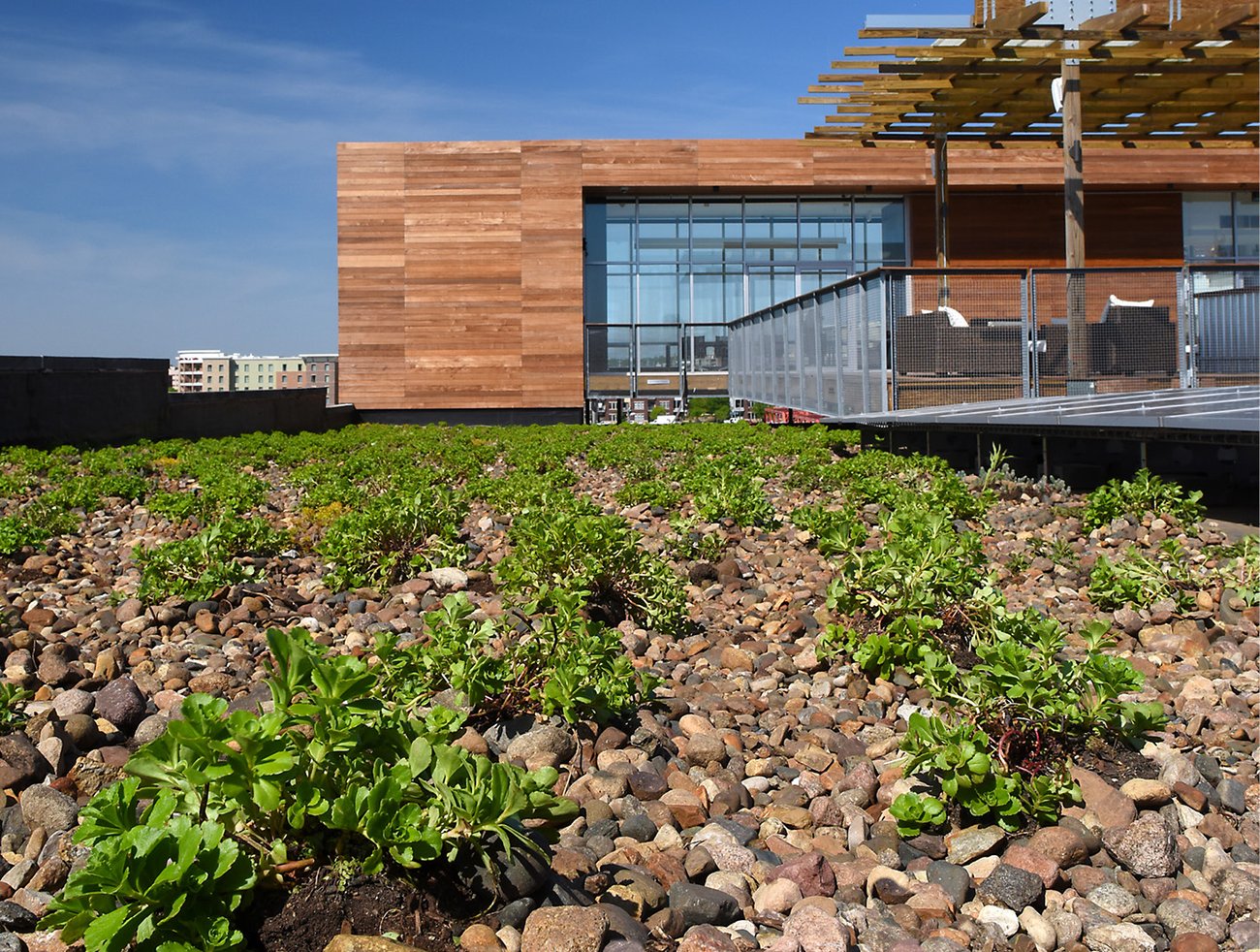 Designing for Ecosystems in Urban Areas: 3 Case Studies