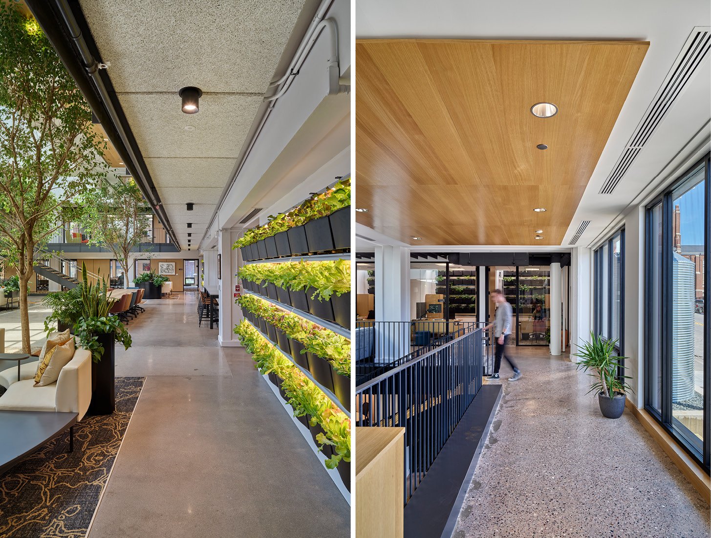 Tips for Incorporating Plants into the Workplace